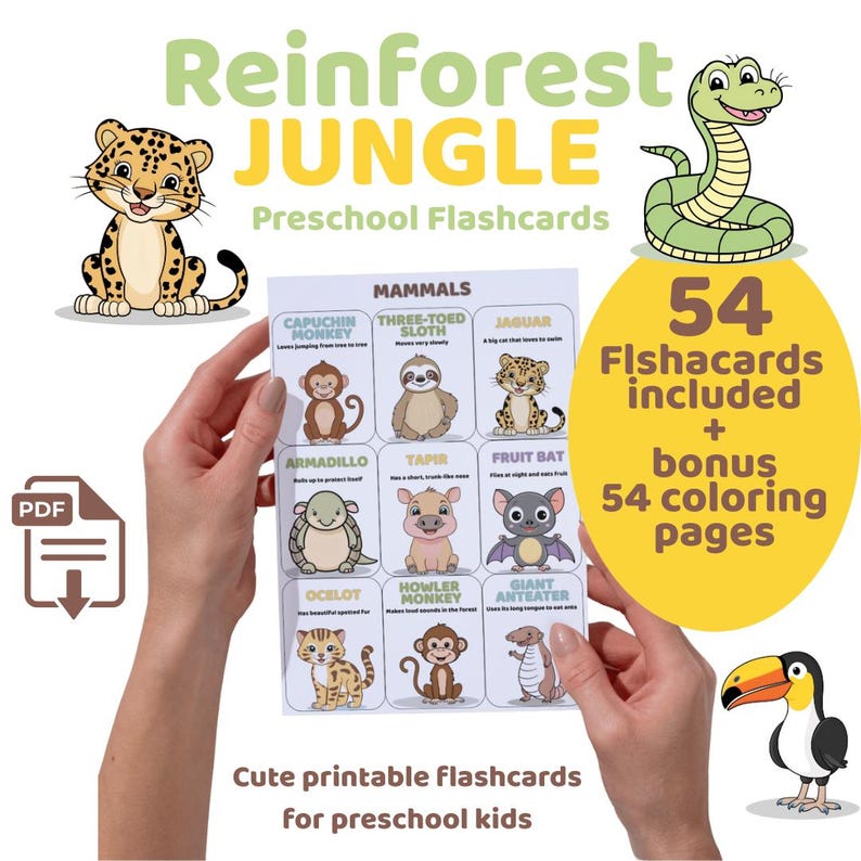 Rainforest Jungle Flashcards for Preschool + BONUS Coloring Pages ...