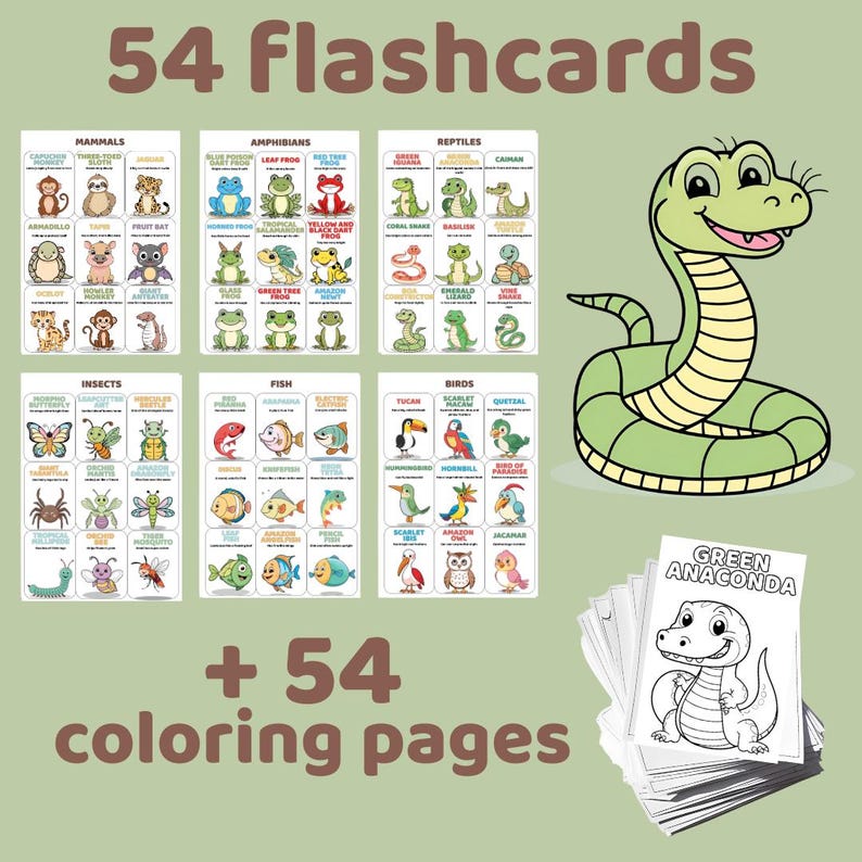Rainforest Jungle Flashcards for Preschool + BONUS Coloring Pages ...