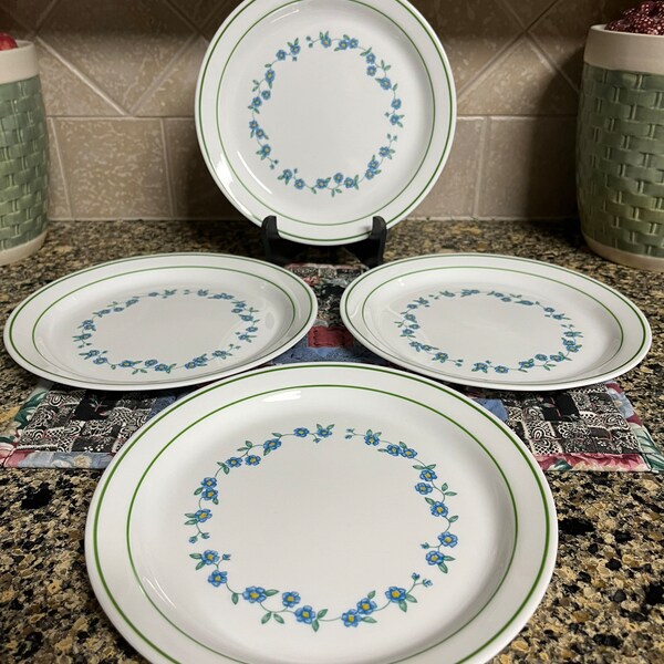 Live Forget Me Not - Etsy