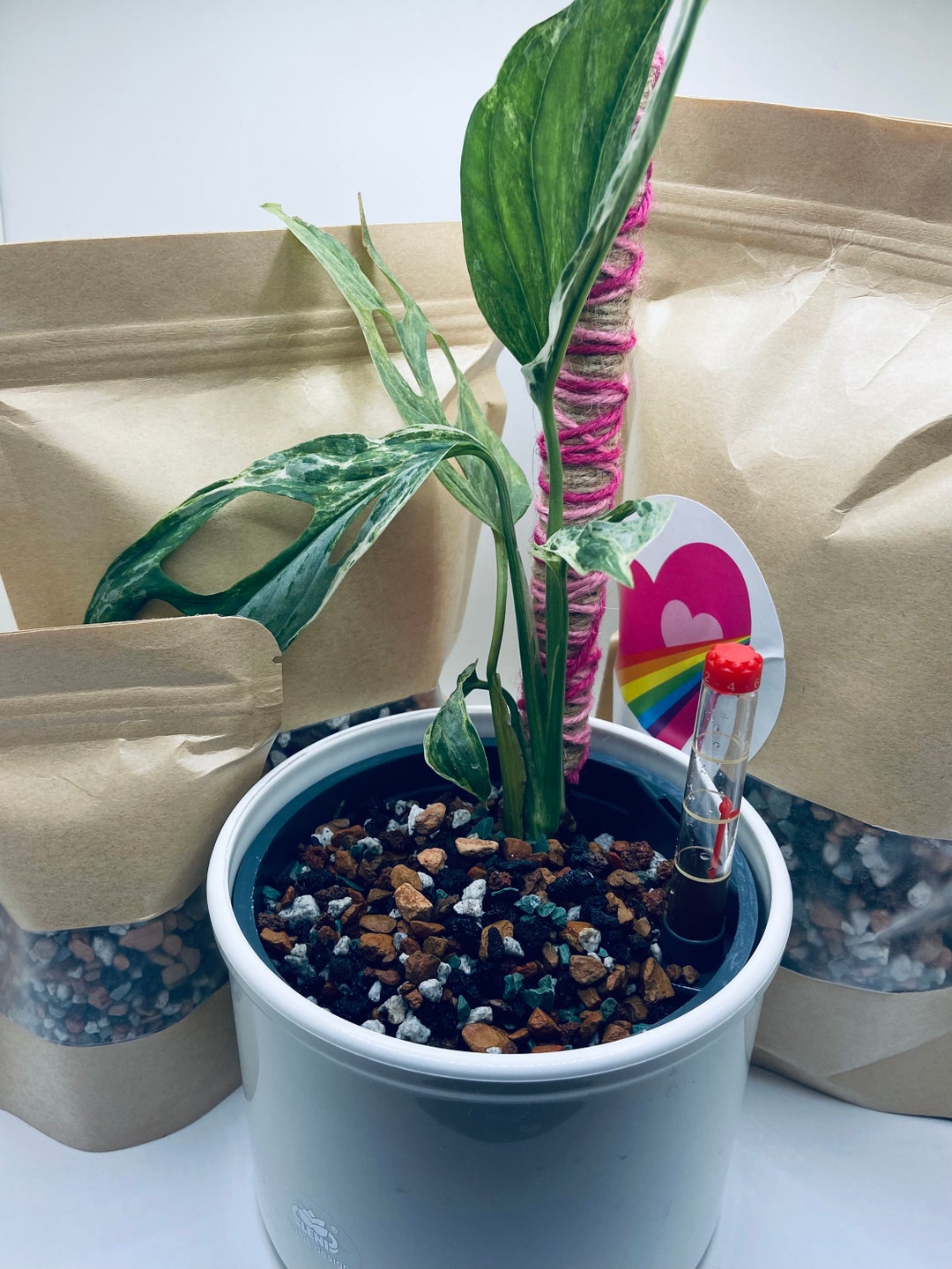 Inorganic Potting Mix Pon/soil-less/passive Hydro/semi Hydro FREE GIFT ...