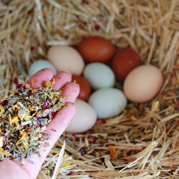 Nesting Herbs - Etsy