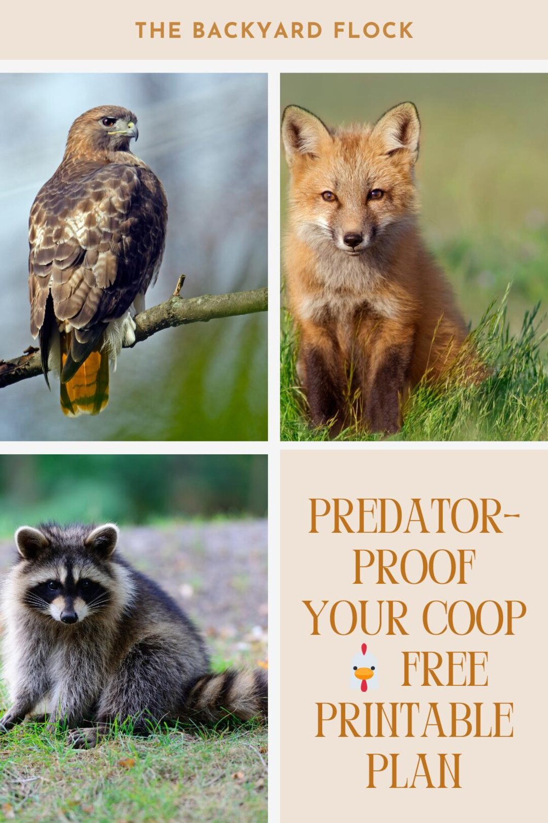 Predator-proof Coop Guide + Free Bonus Checklist - Etsy