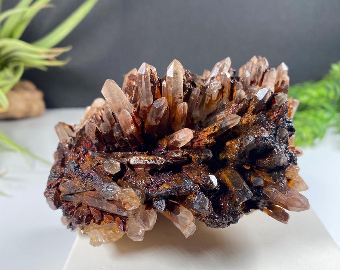 Quartz Crystal Points Cluster From Madagascar, Iron Included Multi ...
