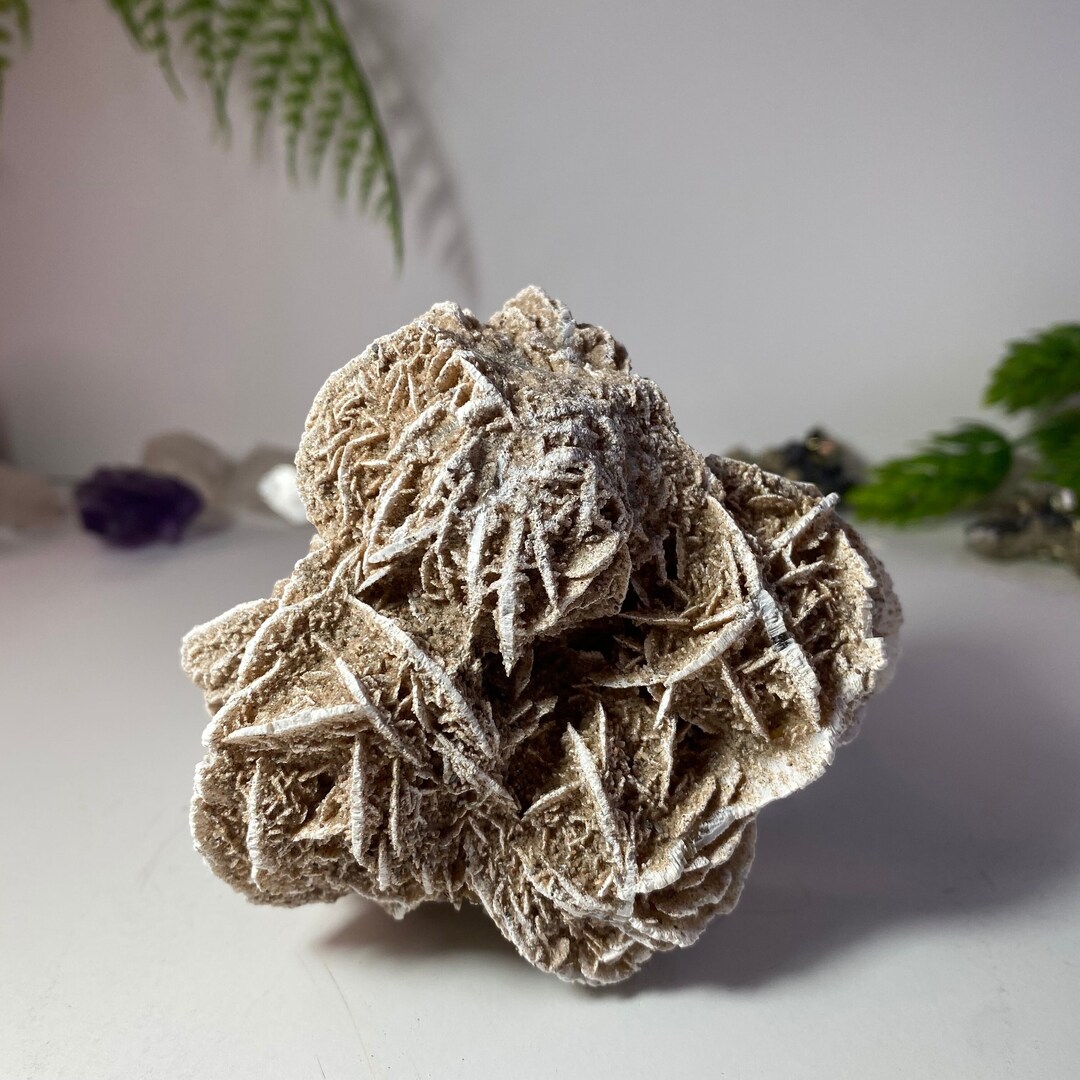 Desert Rose Mineral Specimen From Mexico, Gypsum Rock Rose, Selenite ...