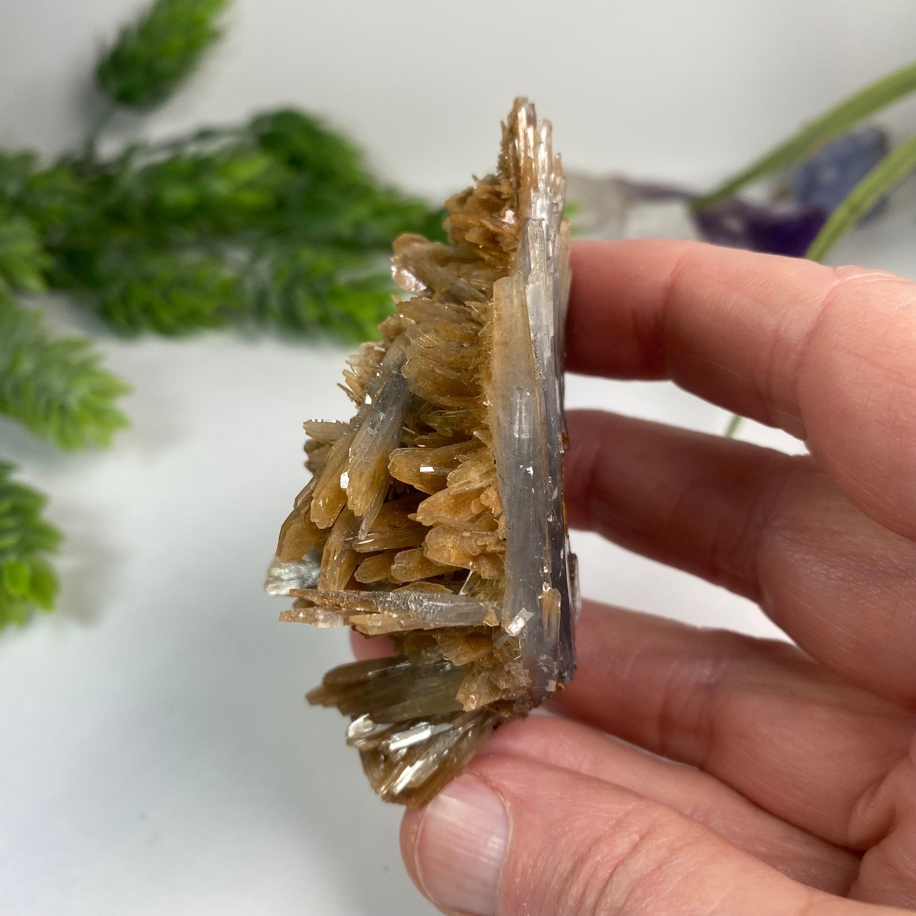 Blue Barite Mineral Specimen From Morocco, Natural Blades of Blue ...