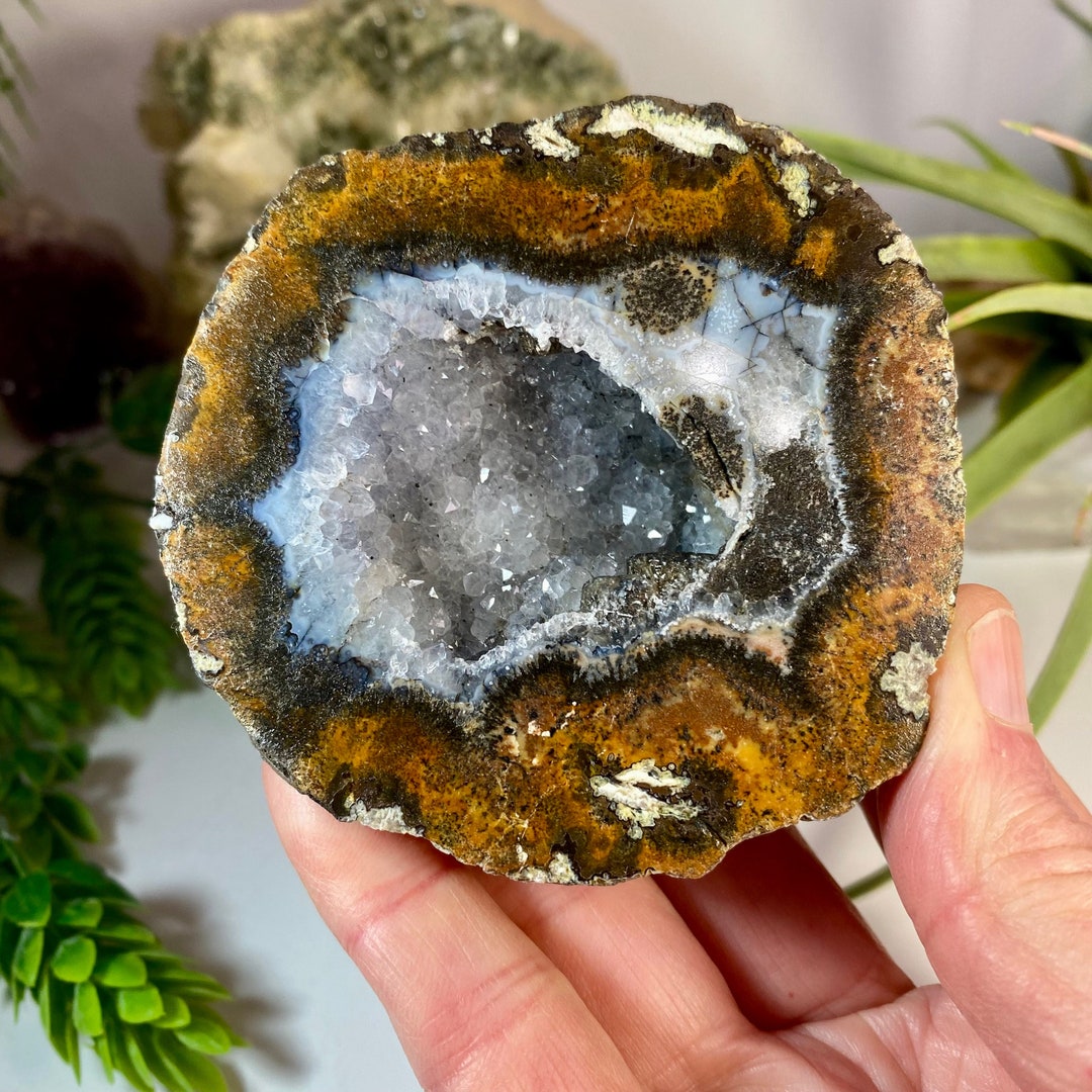 Las Choyas Coconut Geode, Polished Face With Natural Rough, Sparkling ...