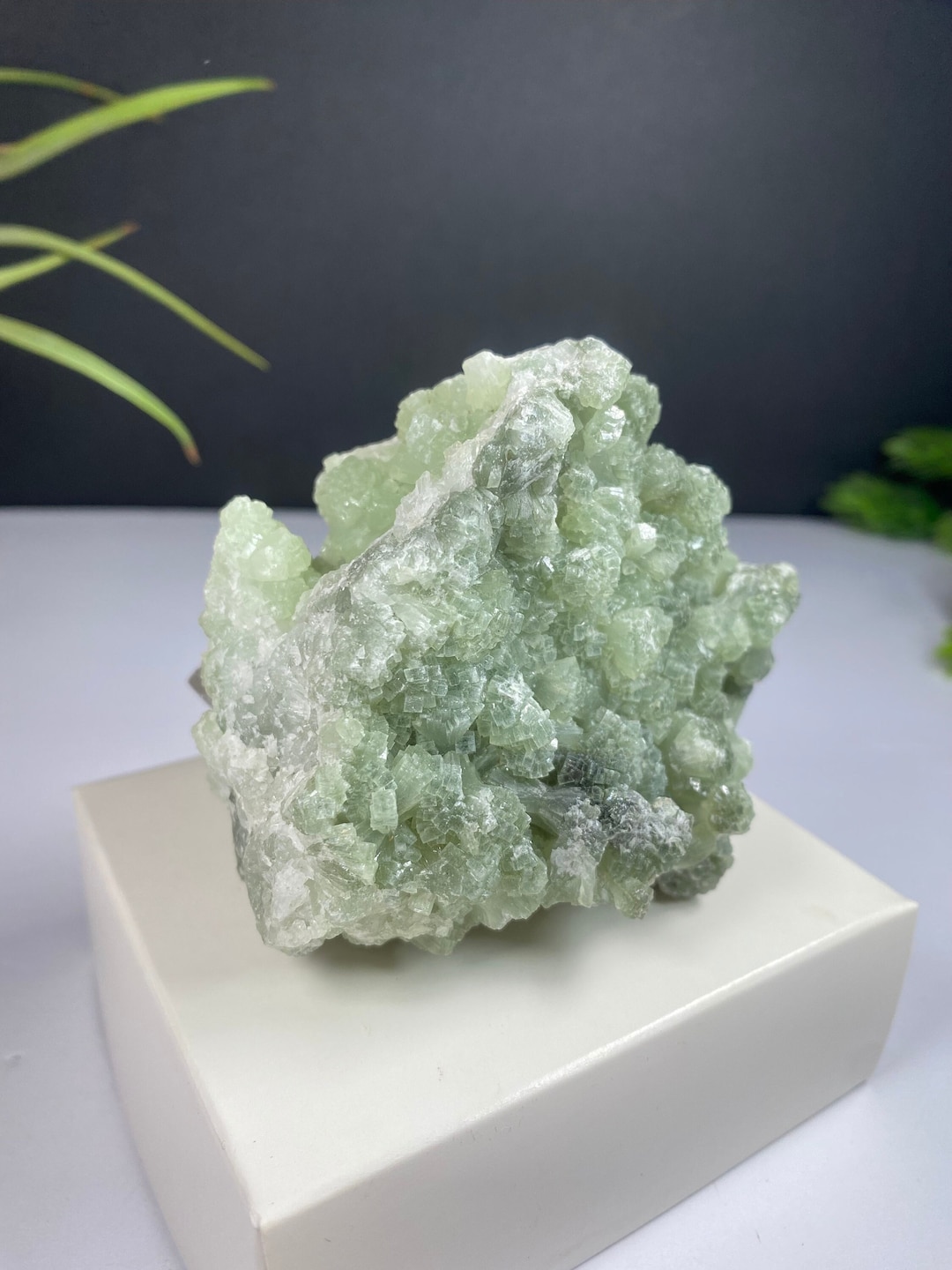 Green Prehnite Crystal Cluster From Morocco, Botryoidal Prehnite ...