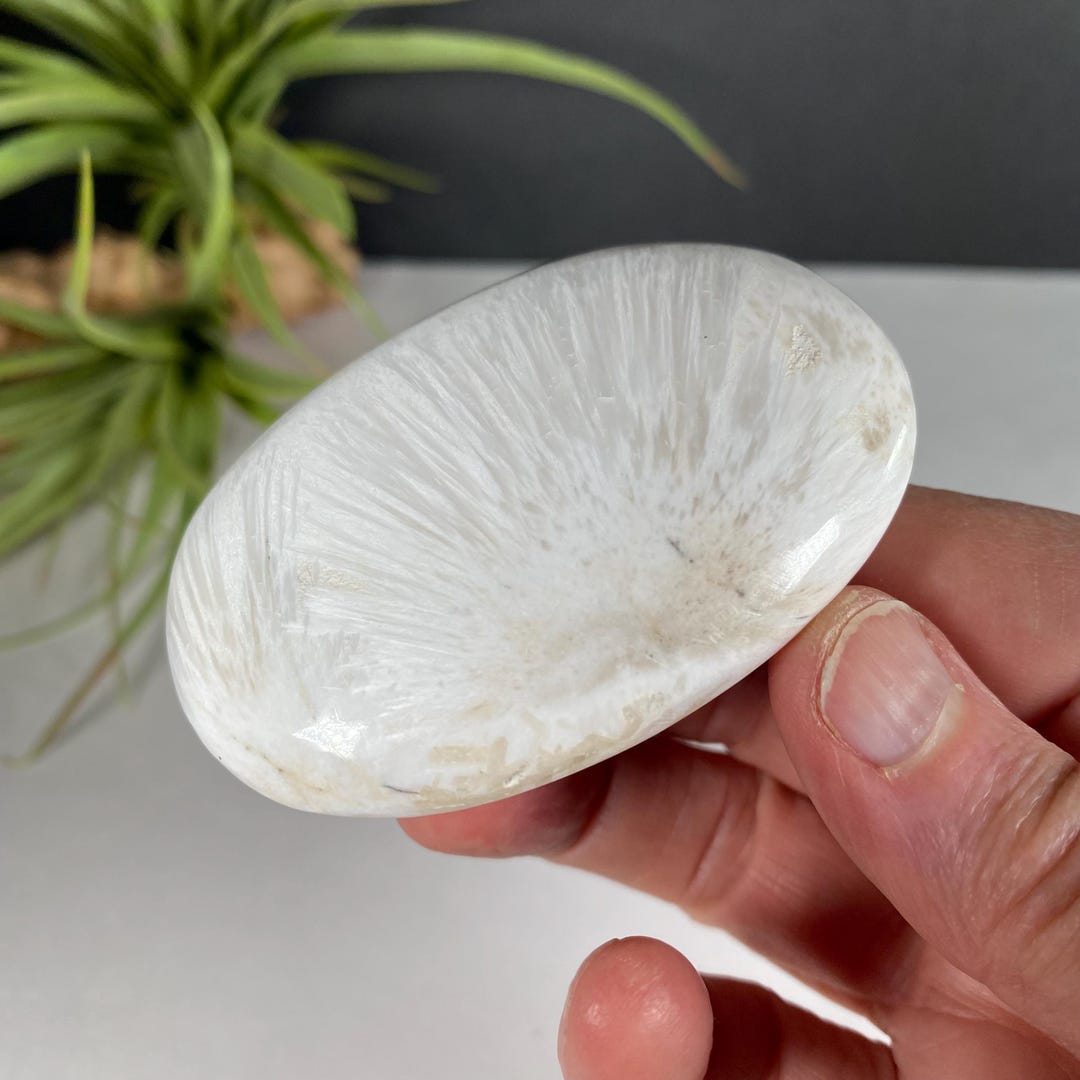 Scolecite Palm Stone From India, Hand Polished Oval Scolecite, Zeolite ...