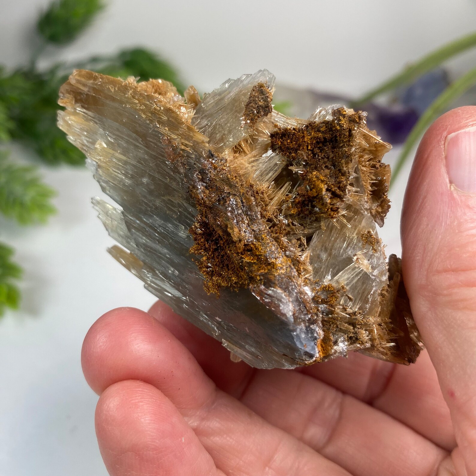 Blue Barite Mineral Specimen From Morocco, Natural Blades of Blue ...