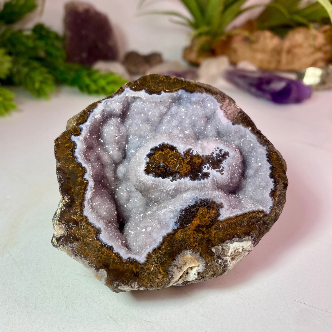Las Choyas Coconut Agate Geode, Polished Front With Naturally Rough ...