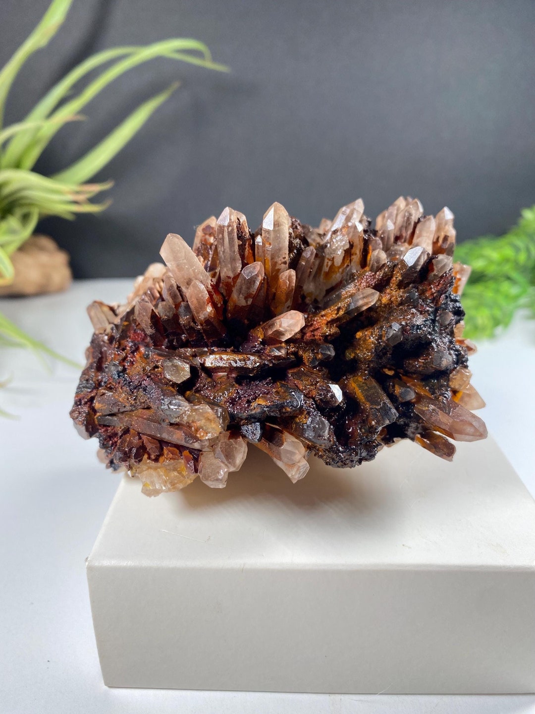 Quartz Crystal Points Cluster From Madagascar, Iron Included Multi ...