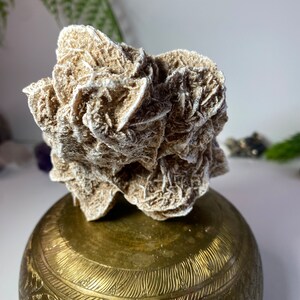 Desert Rose Mineral Specimen From Mexico, Gypsum Rock Rose, Selenite ...