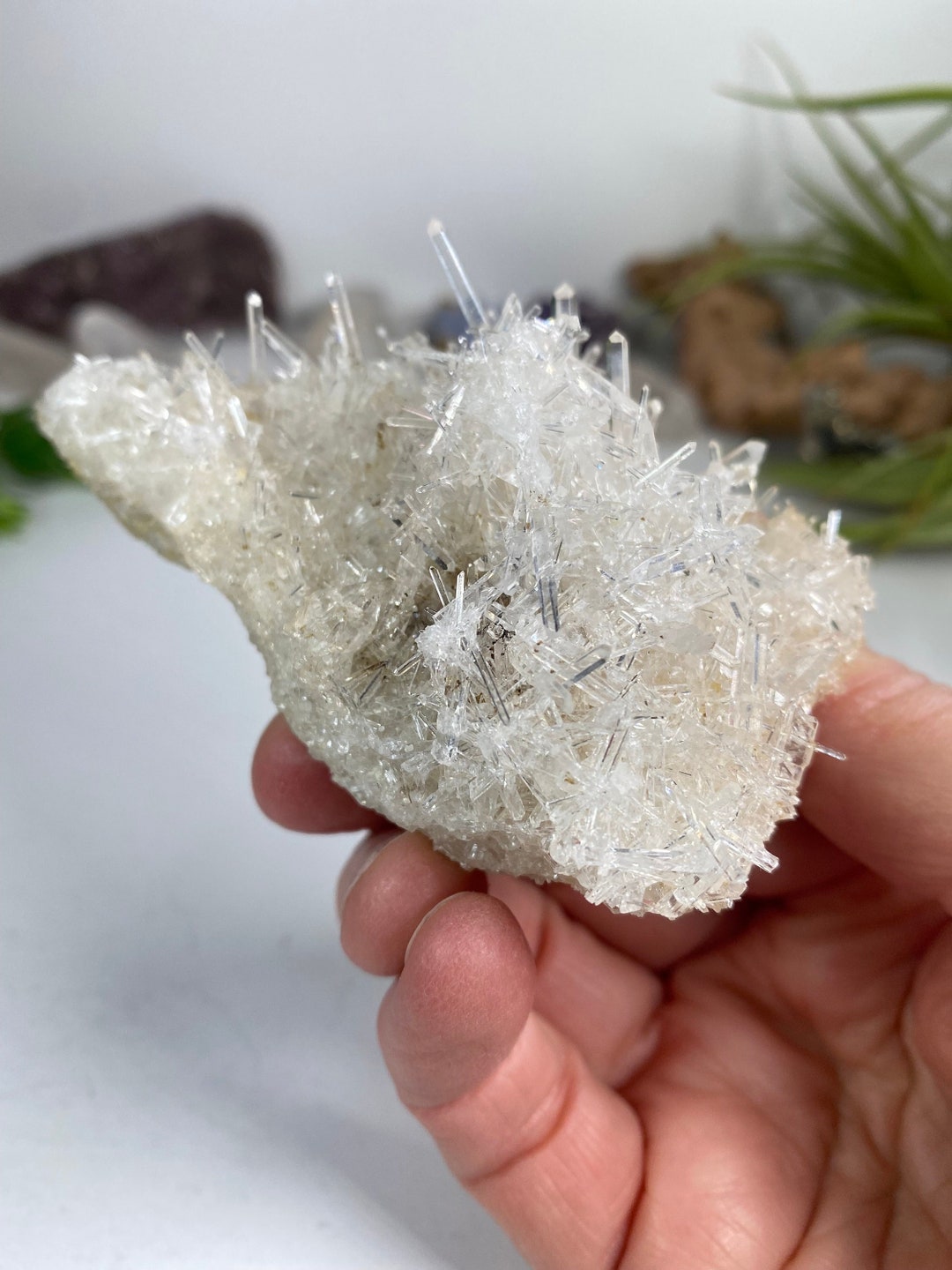 Fine Needle Point Crystal Cluster From Columbia, Covered in Dozens of ...