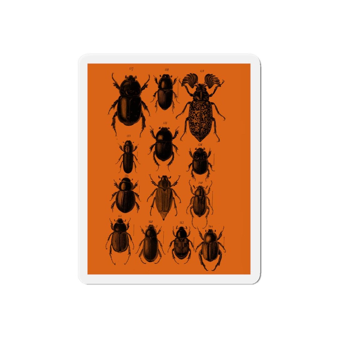 Nature-inspired Die-cut Magnets, Insect Art Magnet Set, Unique Home ...