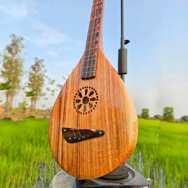 Acoustic Lute, Water Drop Shape, Wheel Pattern, Single Piece of Wood - Etsy