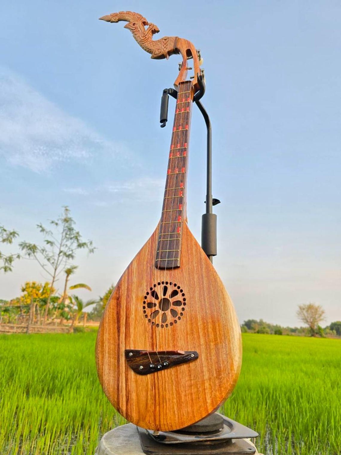 Acoustic Lute, Water Drop Shape, Wheel Pattern, Single Piece of Wood - Etsy