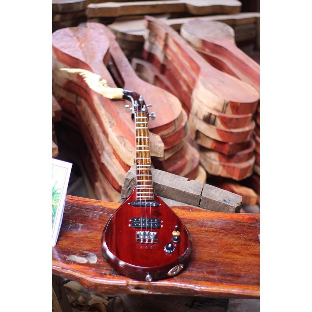 Electric Phin – Professional Stage Model | 3-string Thai Lute | High ...