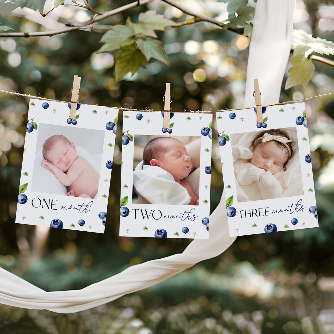 Editable Blueberry Monthly Photo Banner, Berry First Birthday Monthly ...