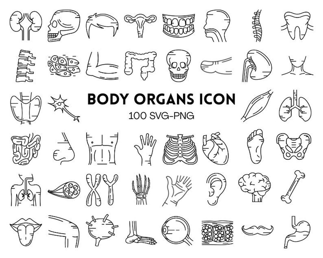 Body Organs / Body Organ Pack / Body Organ Stickers / Body Parts ...