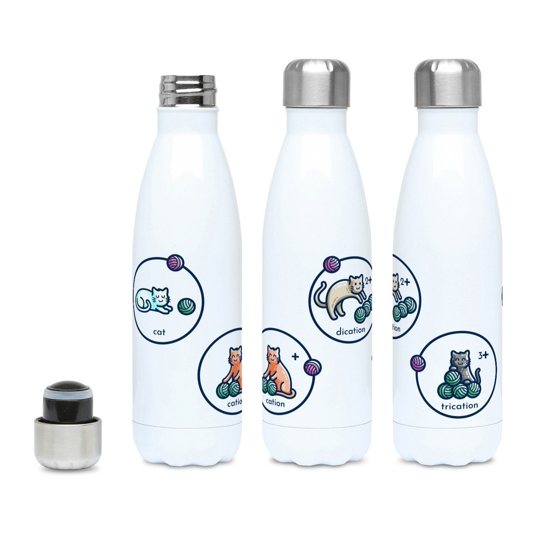 Cation Science Pun Bottle Insulated Stainless Steel Drinks Bottle ...