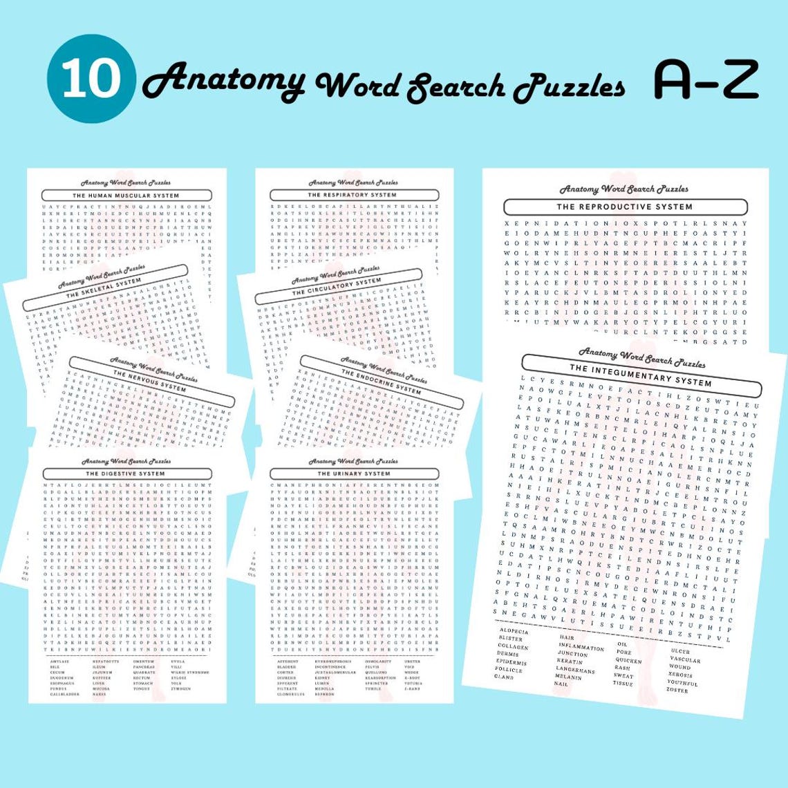 10 Anatomy Word Search Puzzles, Printable PDF for Instant Download ...