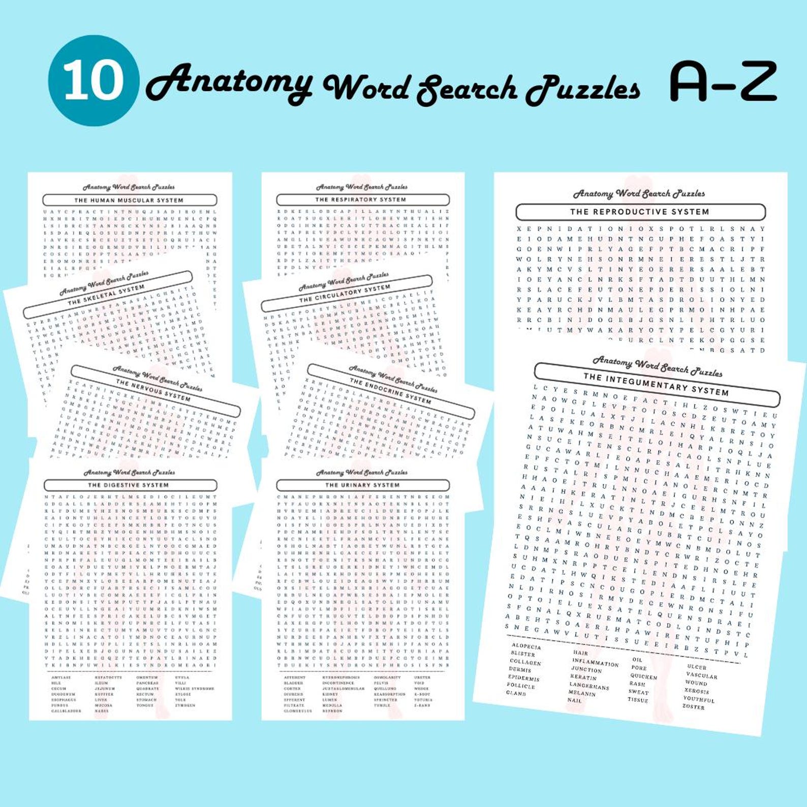 10 Anatomy Word Search Puzzles, Printable PDF for Instant Download ...