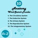 10 Anatomy Word Search Puzzles, Printable PDF for Instant Download ...