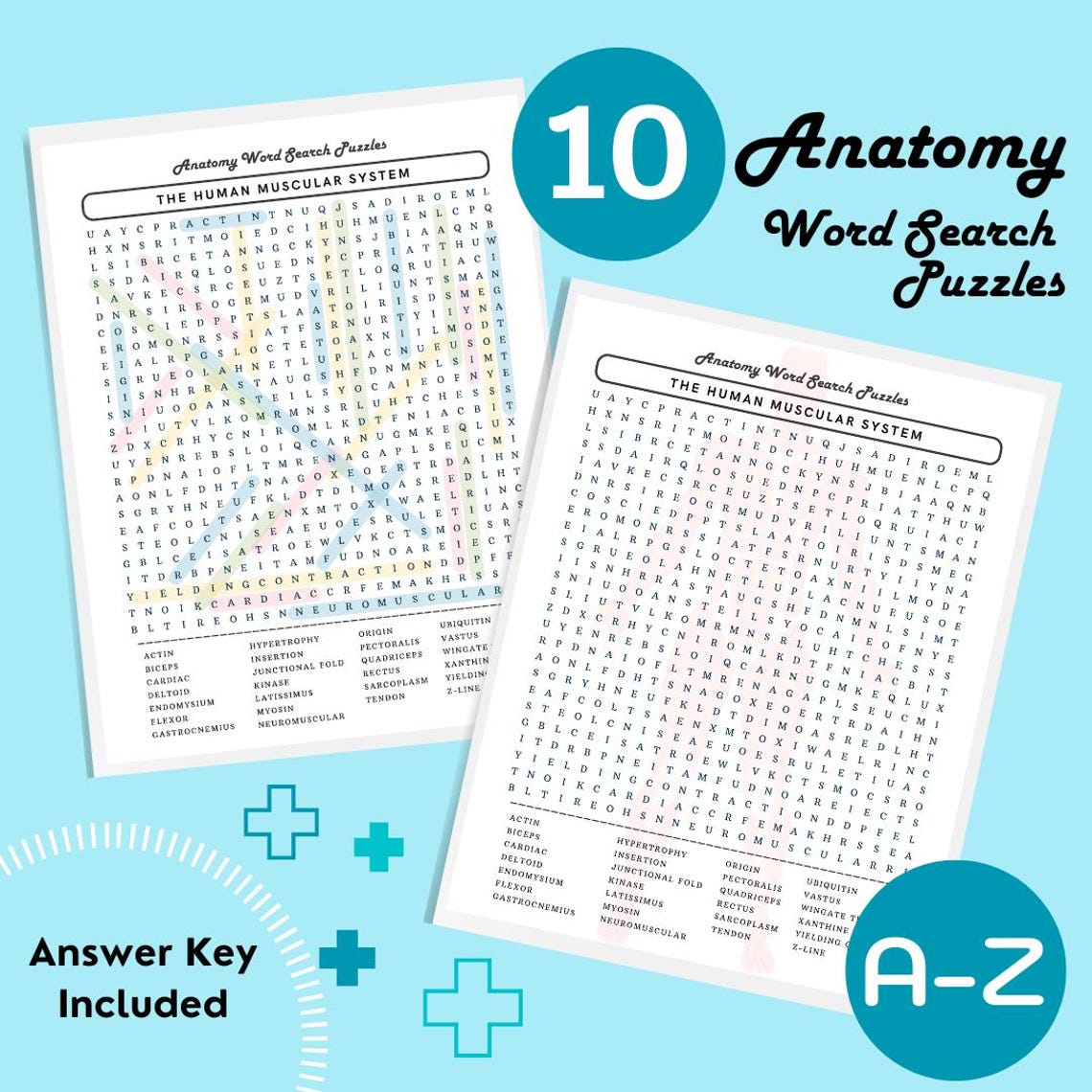 10 Anatomy Word Search Puzzles, Printable PDF for Instant Download ...
