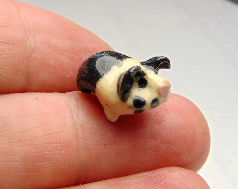 Micro Mini Miniature Guinea Pig Terrarium Figurine - Tiny Animal ...