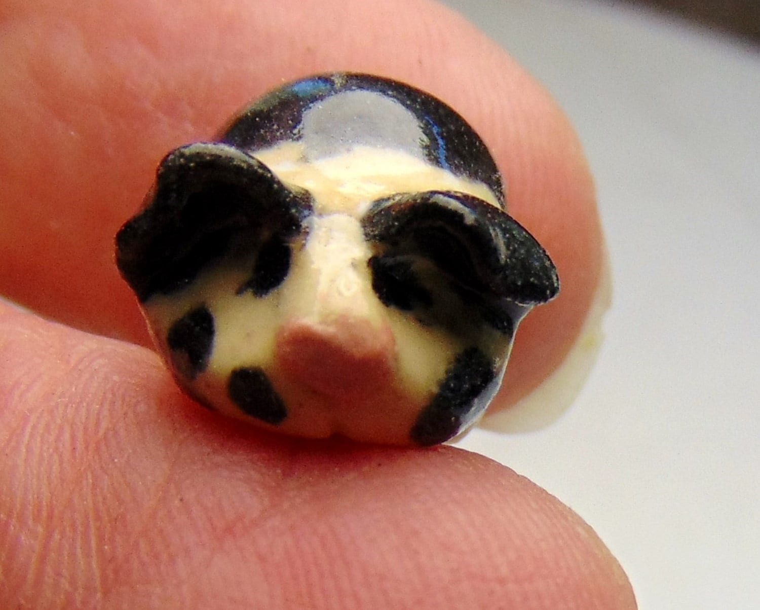 Micro Mini Miniature Guinea Pig Terrarium Figurine - Tiny Animal ...
