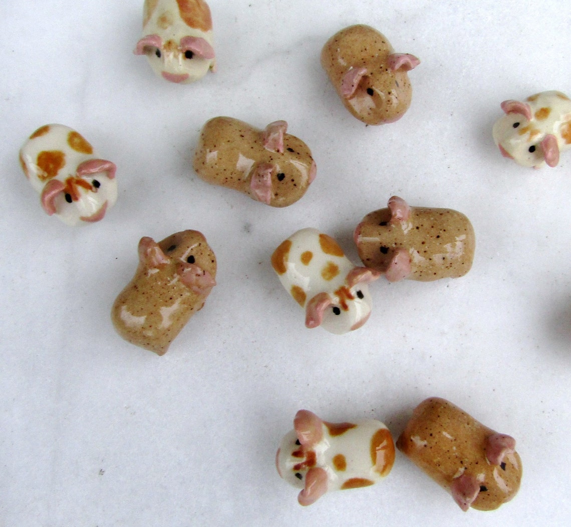 Tiny Handmade Guinea Pig Miniature Terrarium Animal Figurines ...