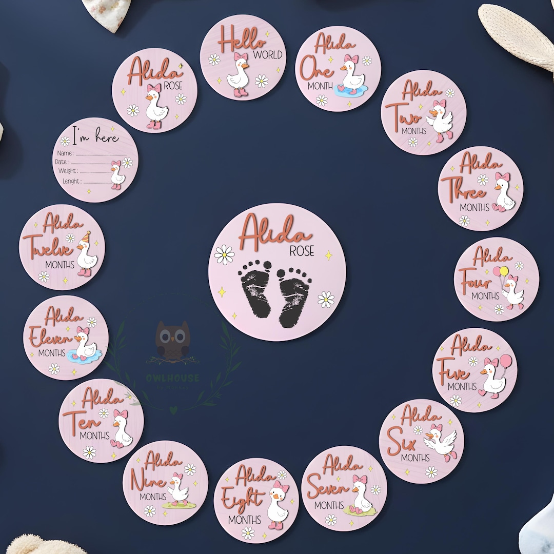 Custom Goose Newborn Name Sign Birth Detail Disc With Footprint Art and ...