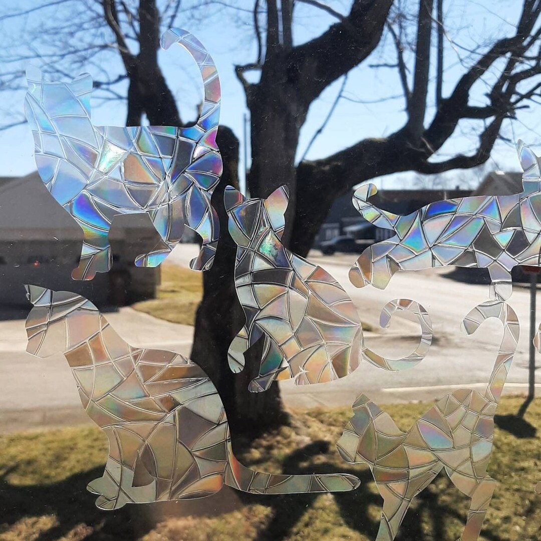 6 Cat Window Clings W/extras, Reusable Vinyl Window Decoration, Prism ...