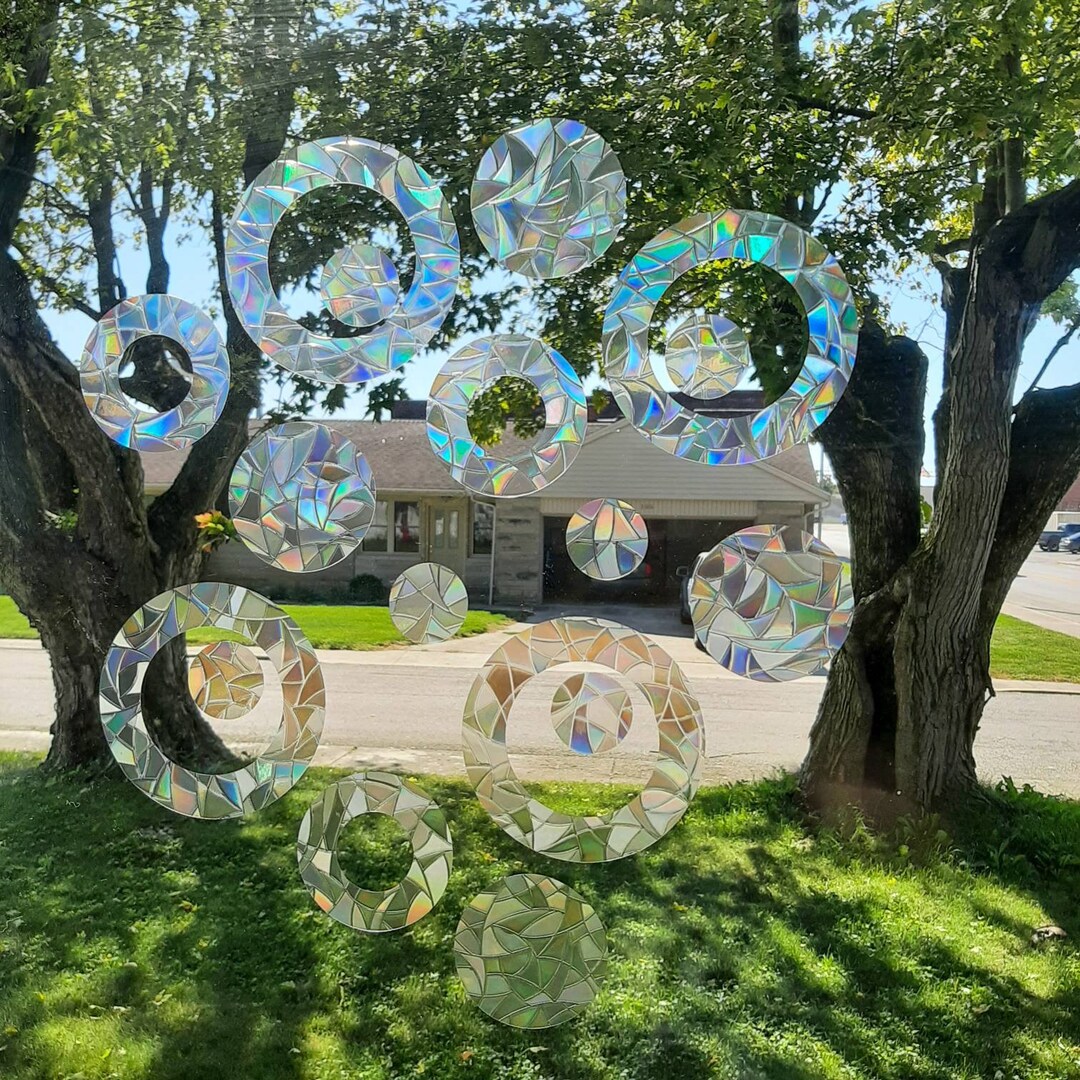 18 Circles & Rings Window Cling Set, Reusable Vinyl Window Decoration ...