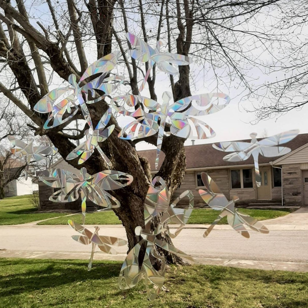10 Dragonfly Window Clings, Reusable Translucent Window Decoration ...