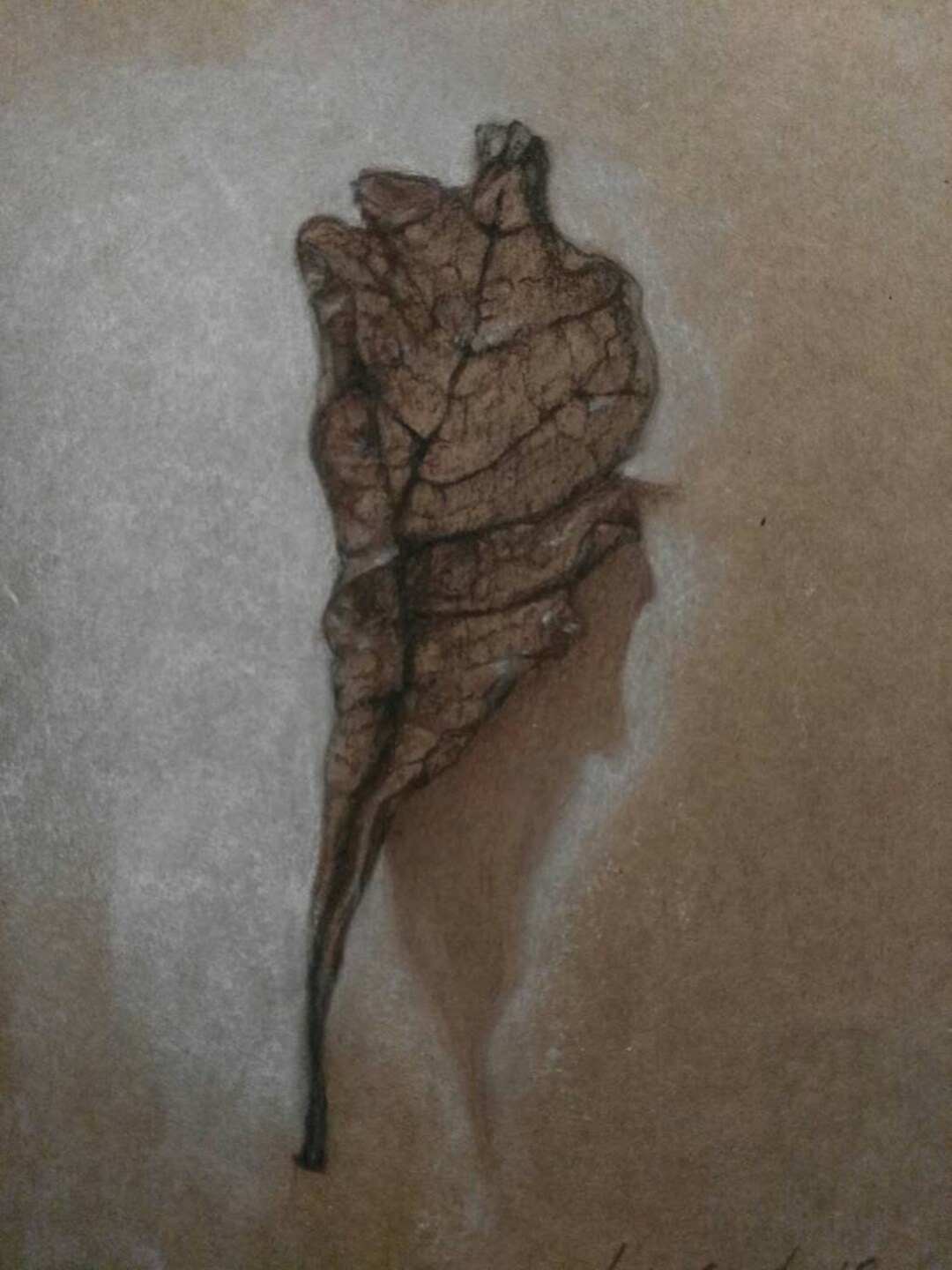 Art Drawing Wilted Dry Leaf Sepia Chalk Brown Paper Original A4 ...