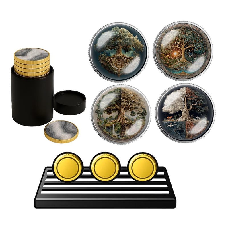 Set of 4 Sobriety Coins, Gold Silver Recovery Chip, AA NA Group Gift ...