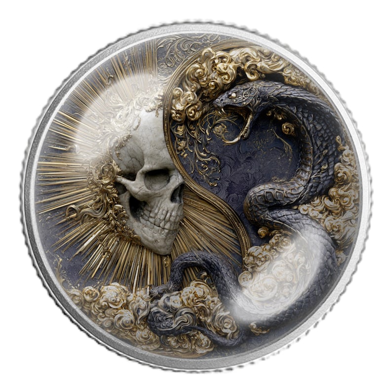Skull AA Medallion | Sobriety Coin | Recovery Token | Sober Anniversary ...