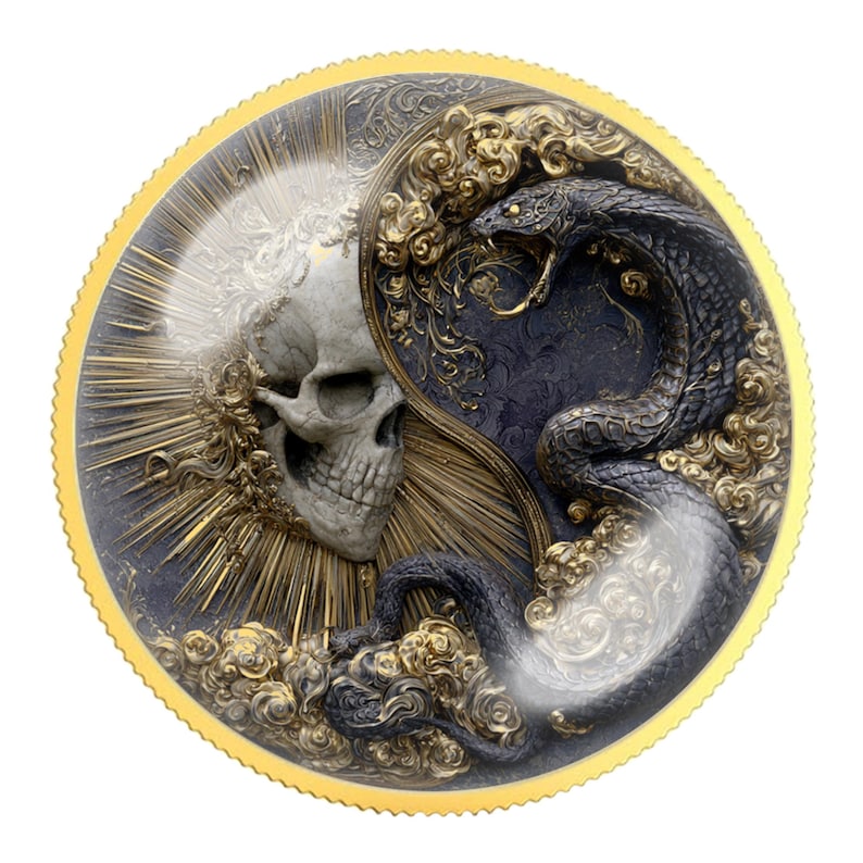 Skull AA Medallion | Recovery Token | Serenity Prayer Chip | Sober ...