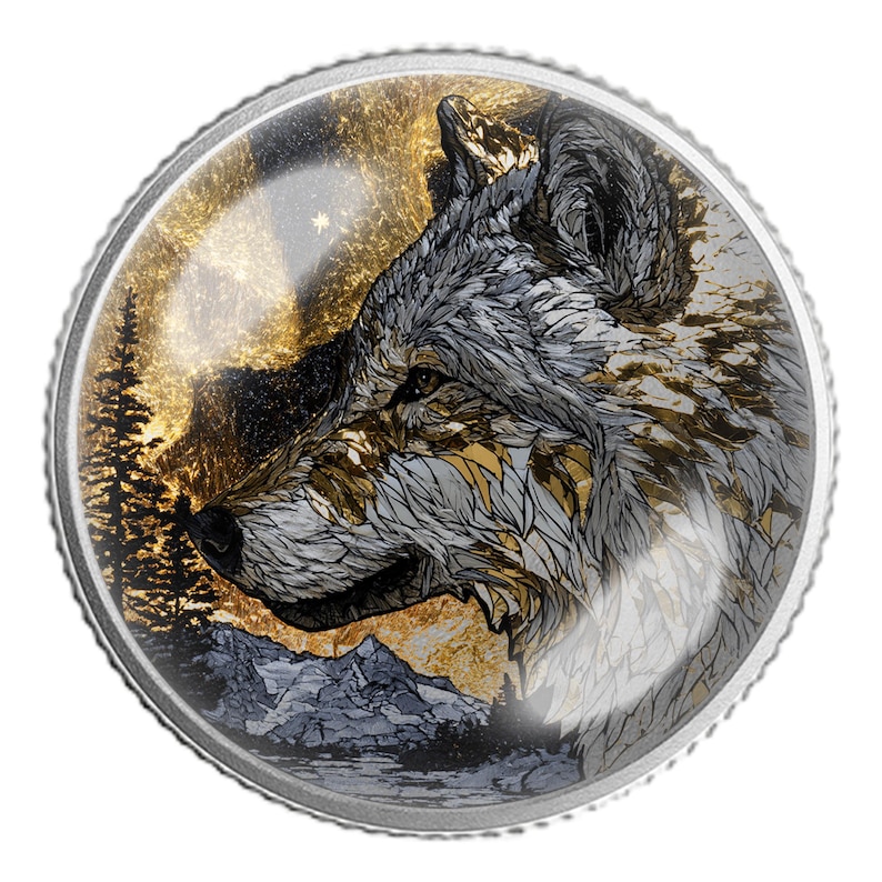 Sobriety Coin With Wolf Design - Recovery Anniversary Token - Etsy