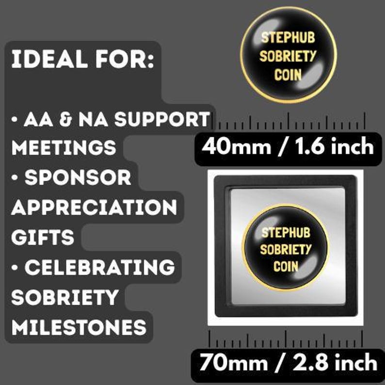 Demon Skull Sobriety Coin for AA NA Recovery | Clean Time Milestone ...