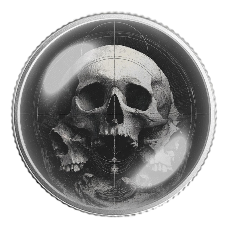 Sobriety Skull Medallion | AA Recovery Chip | One Day at a Time Token ...