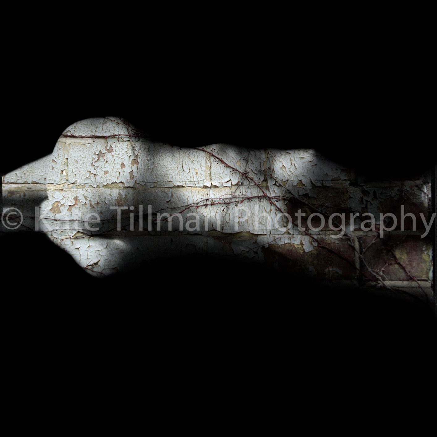 Female Bodyscape I - Etsy