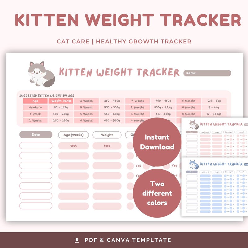 Cat Kitten Tracker - Etsy New Zealand