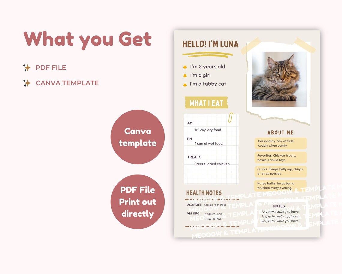 Editable Cat Care Profile Template: Pet Sitter Instructions (PDF ...