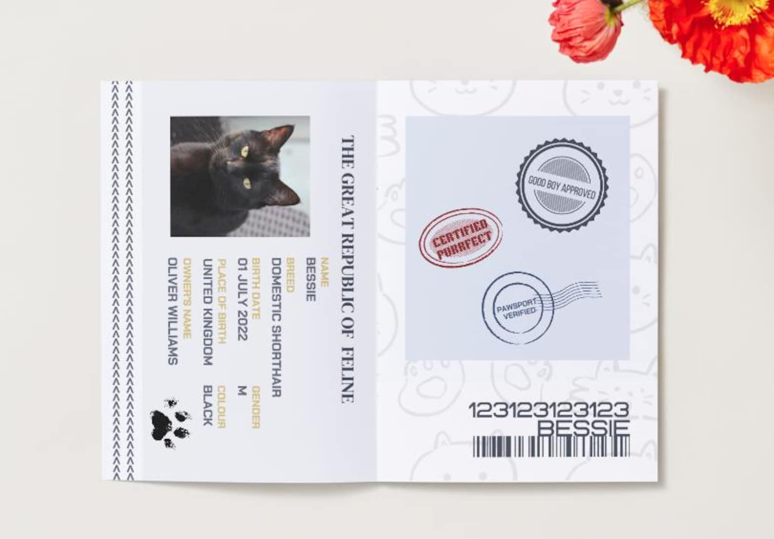 Printable Pet Passport for Cat and Dog Vaccination and Health Record ...