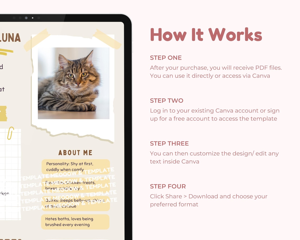 Editable Cat Care Profile Template: Pet Sitter Instructions (PDF ...