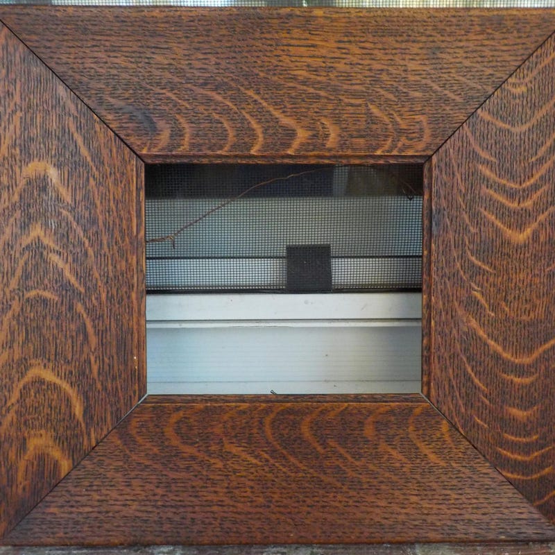 Tiger Oak - Etsy