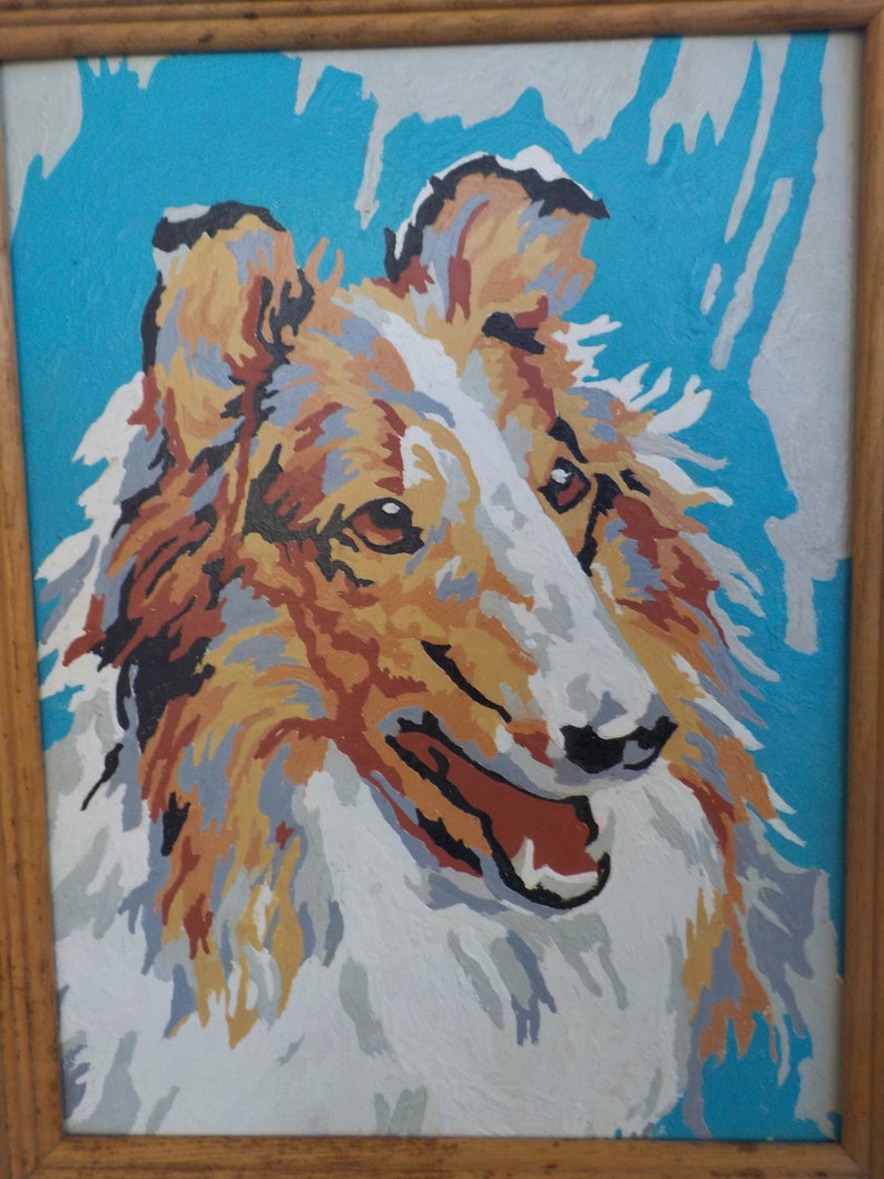 Vintage Midcentury COLLIE Lassie DOGS Portraits PBN Paint by | Etsy