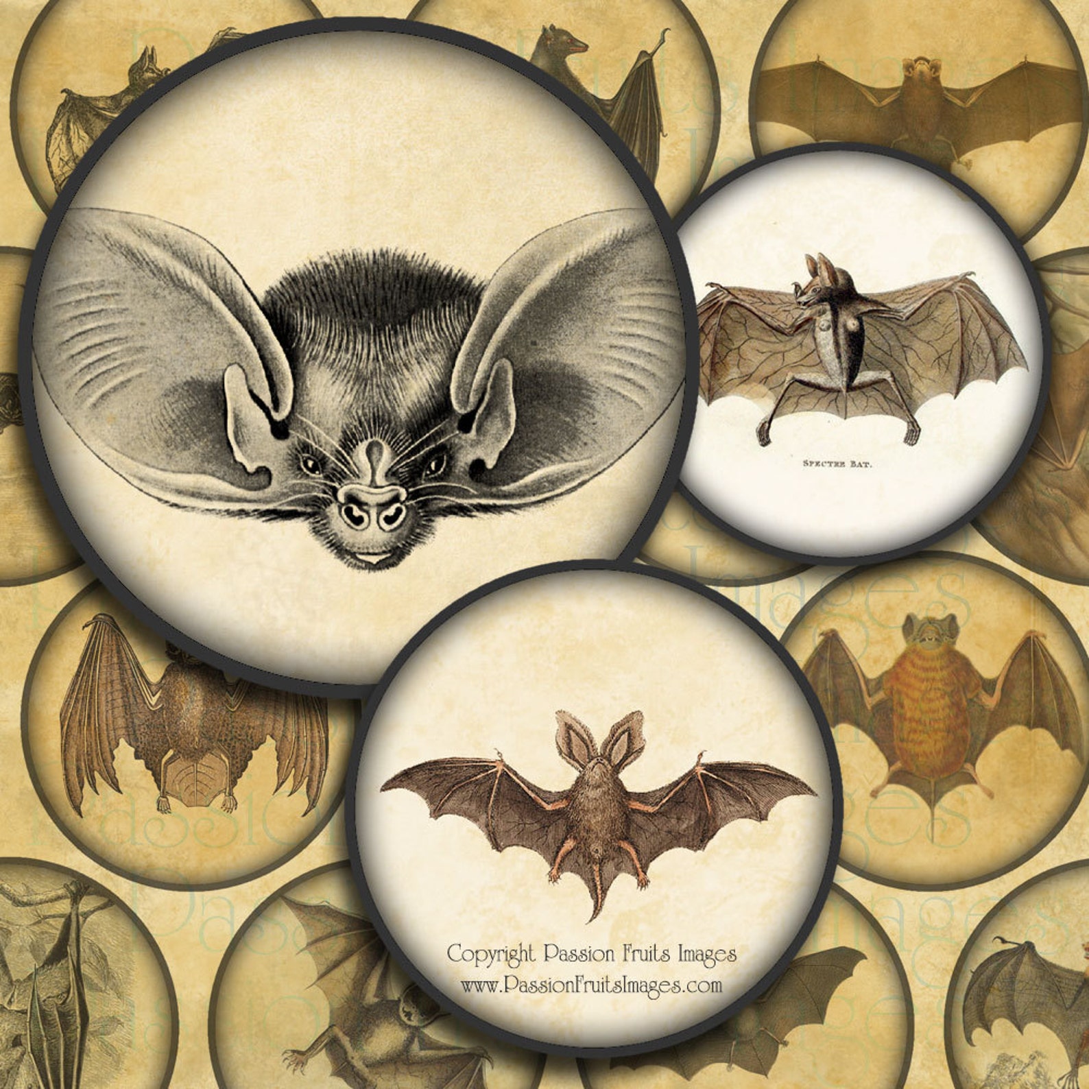 Antique Bat Images Digital Collage Sheet- 2" Circles-- Instant Download ...